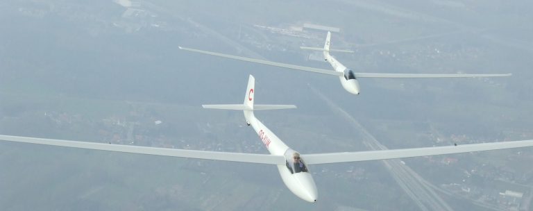 Standard Libelle (201 & 201B) – Streifly